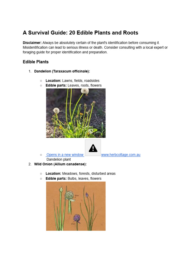 20 Edible Plants and Roots | PDF | Onion | Vegetables
