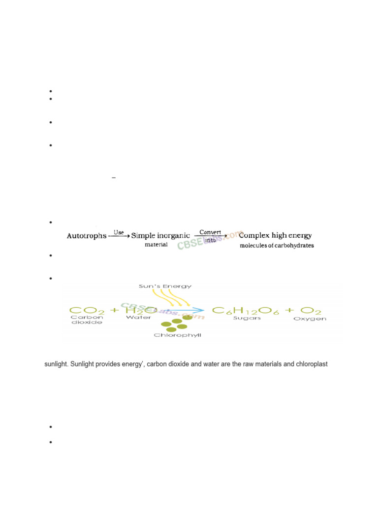 Life Processes | PDF | Cellular Respiration | Digestion