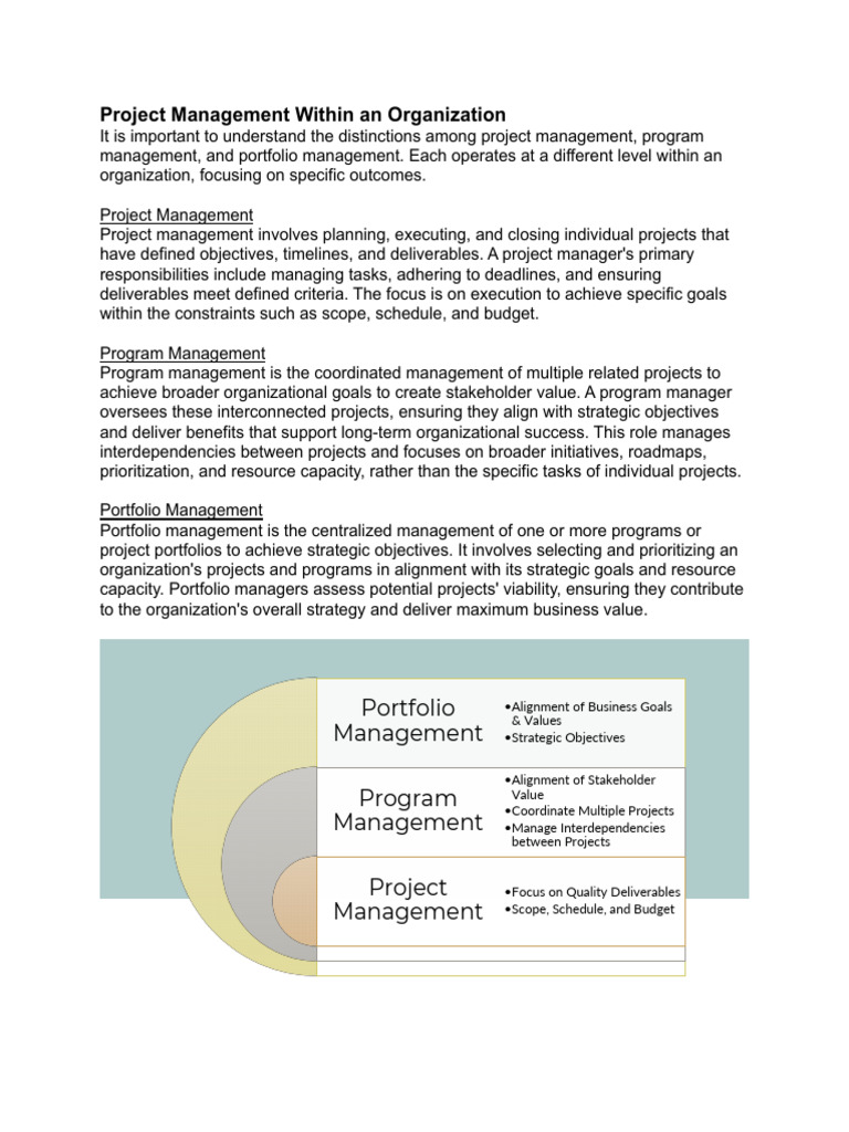 Project Management Within An Organization | PDF | Project Management ...