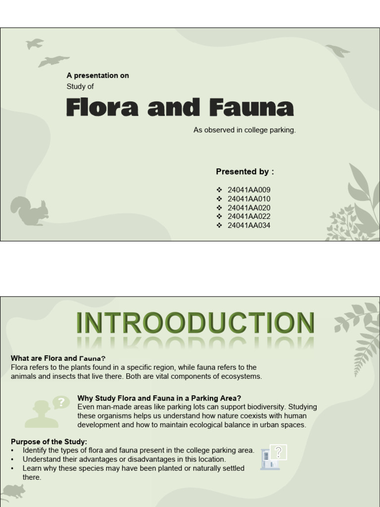 EVS Flora and Founa | PDF | Habitat | Trees