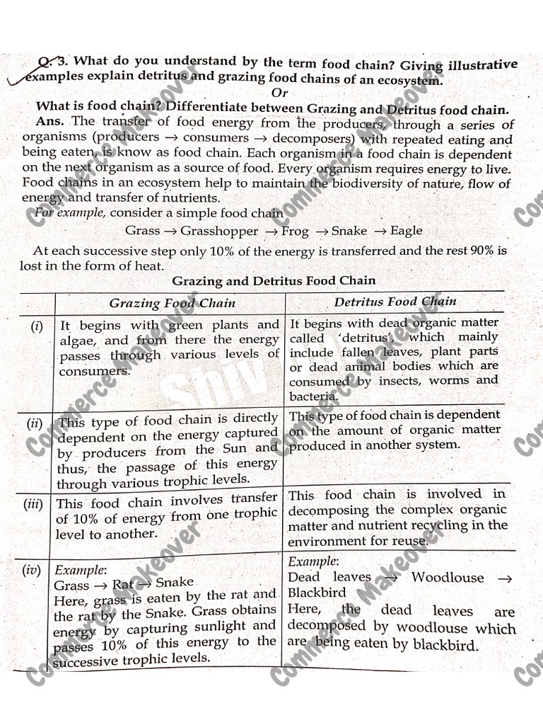 All Important Ques EVS-1 AEC | PDF