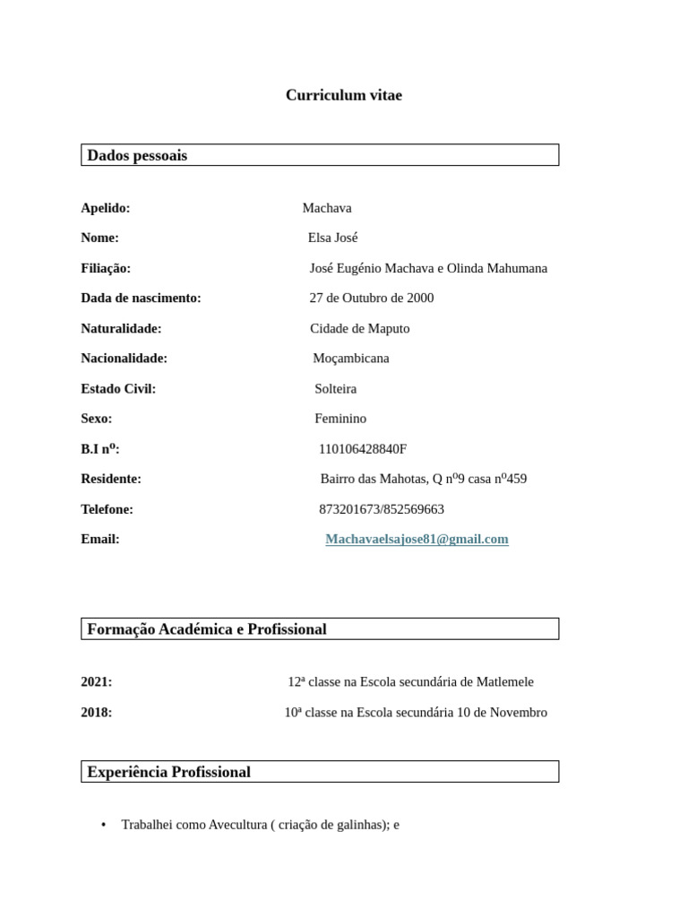 Curriculum Vitae de Elsa Machava | PDF