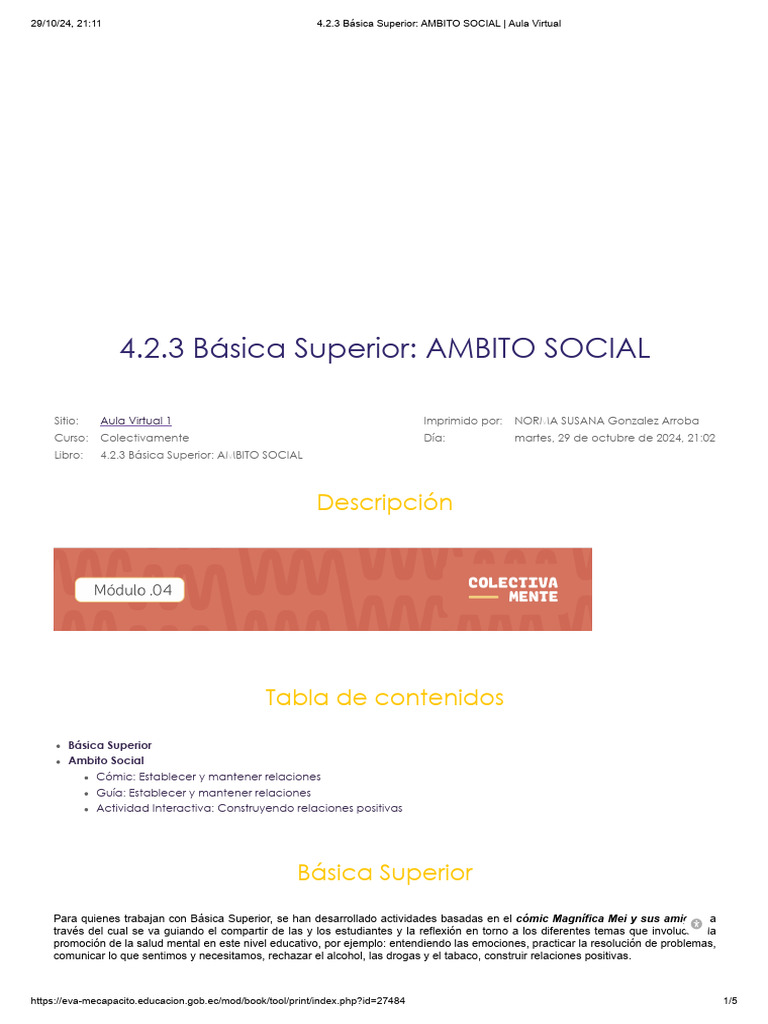 4.2.3 Básica Superior - AMBITO SOCIAL - Aula Virtual | PDF | Salón de ...