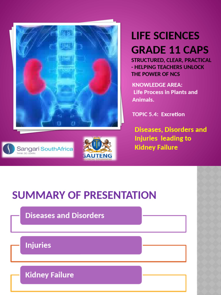 PP25 Disease, Disorders and Injuries Leading to Kidney Failure | PDF | Hemodialysis | Kidney