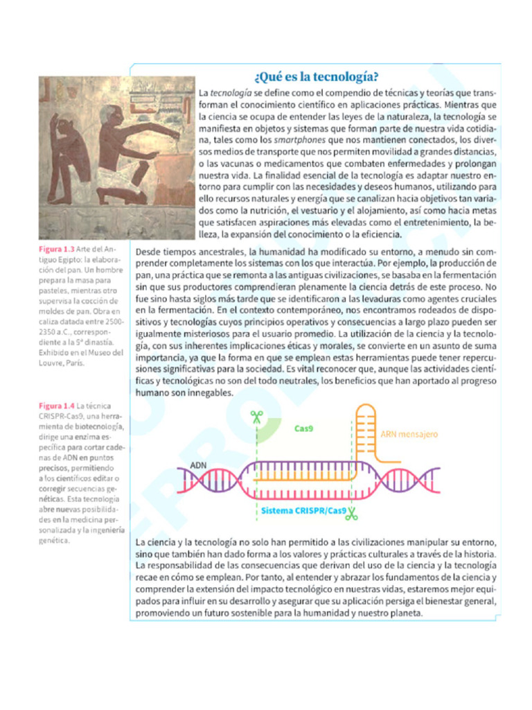 Lectura Ciencia y Tecnologia | PDF
