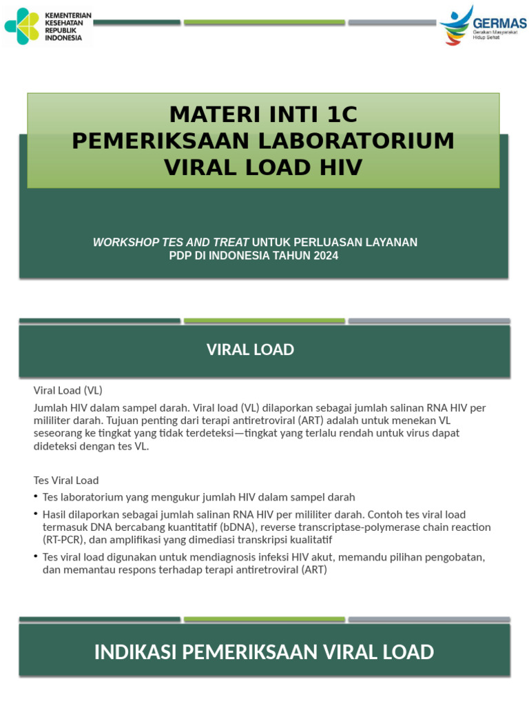Panduan Pemeriksaan Viral Load HIV 2024 | PDF