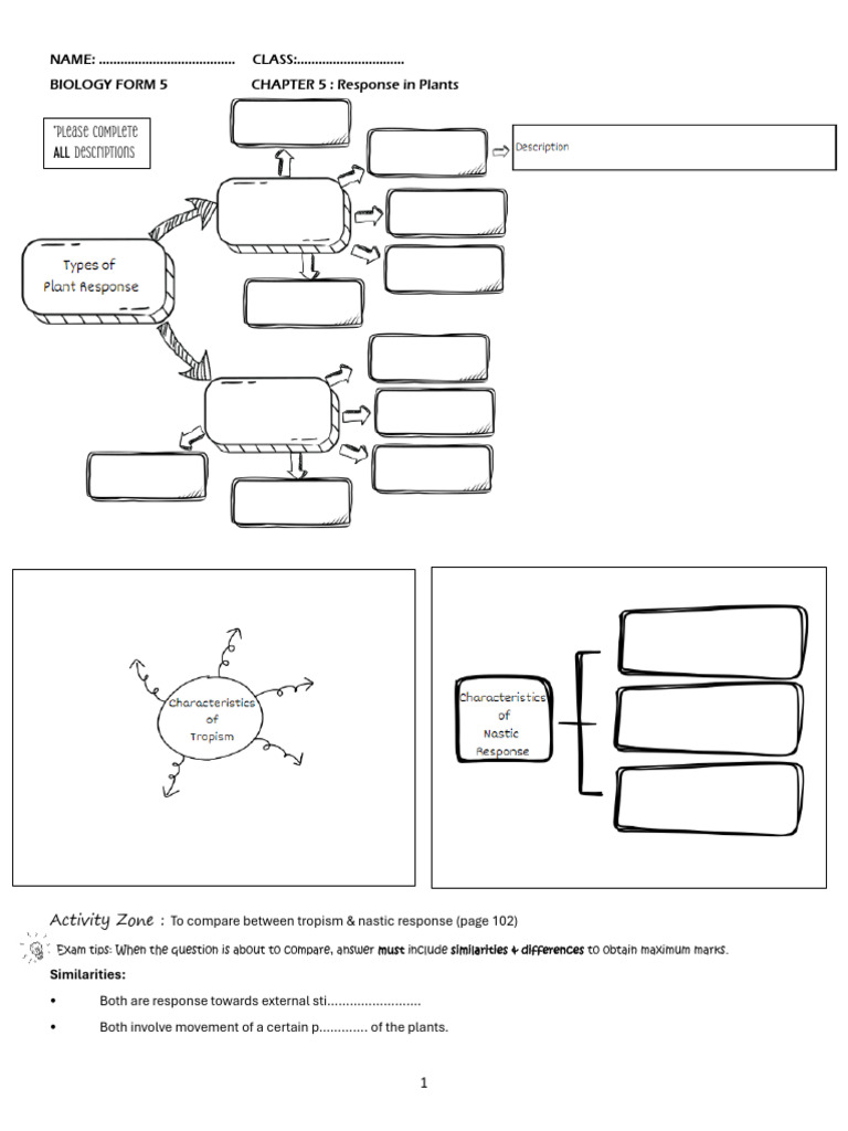 CHAPTER 5 Response in Plants | PDF | Auxin | Biology