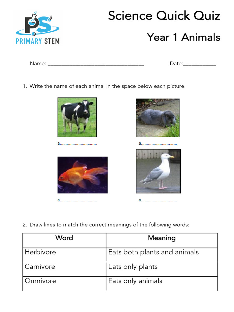 Y1 Animals Quiz | PDF