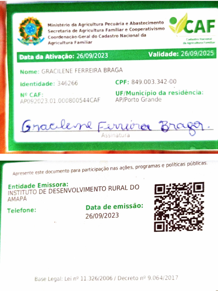 ACE Scanner_2025_07_28 (1) | PDF