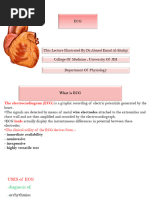 SCST ECG Reporting Standards Guide | PDF | Electrocardiography | Heart