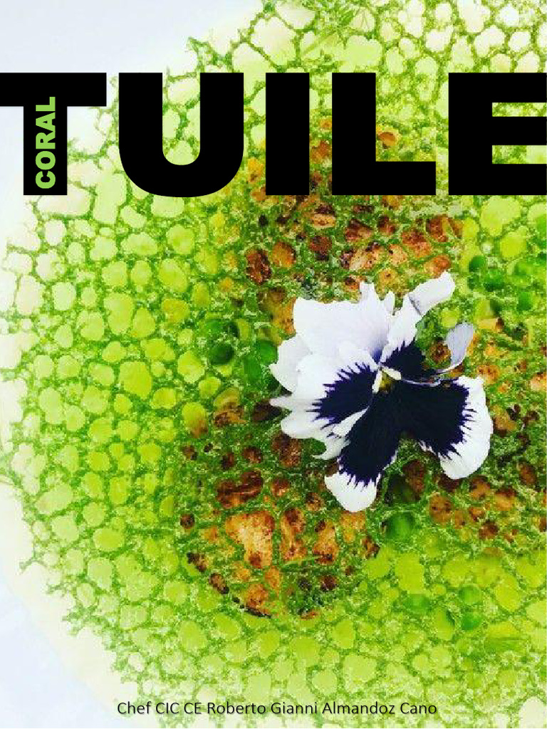 Recetas de Tuiles Coral | PDF | Postres | Cocinando