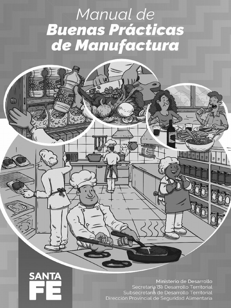 Manual BPM Assal | PDF