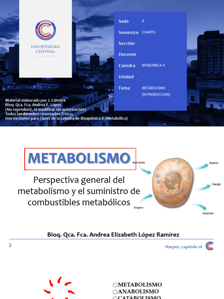 Bioquímica 2 - Introdução | PDF | Metabolismo | Enzima