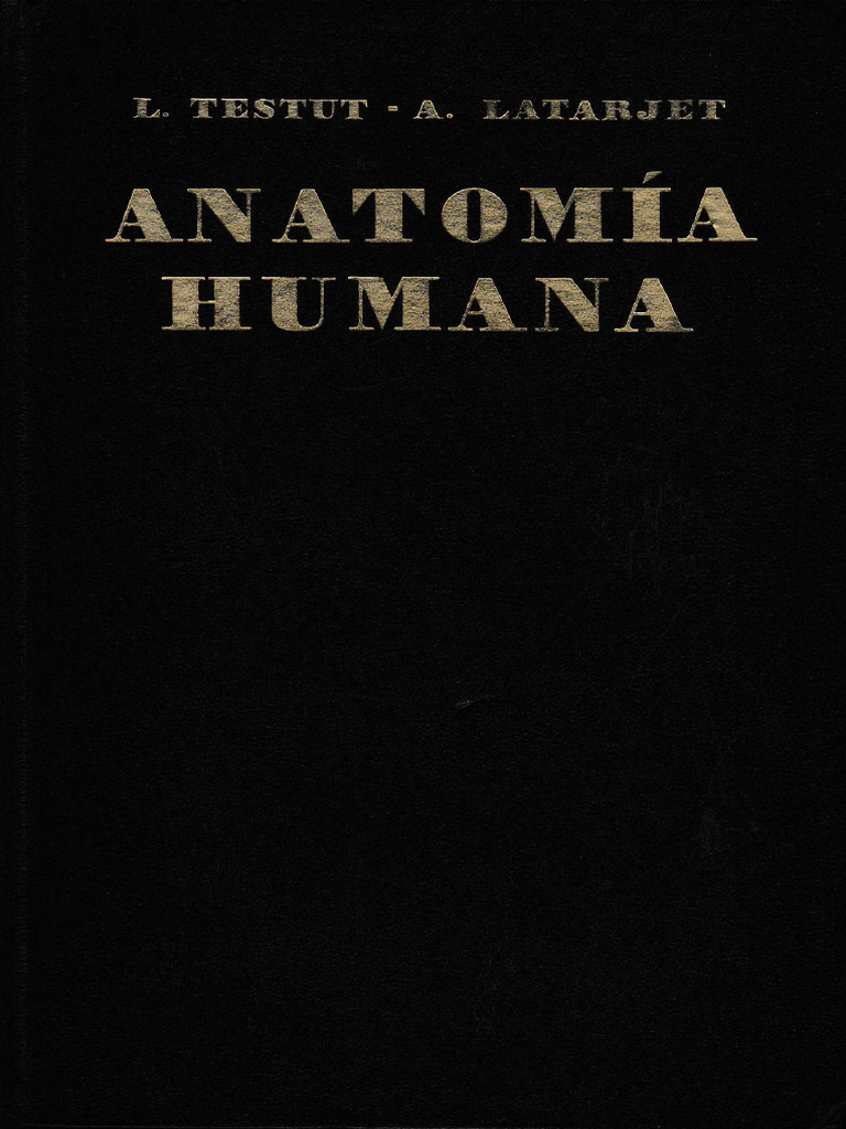 Anatomia Humana Testut Latarjet Tomo 1 | PDF