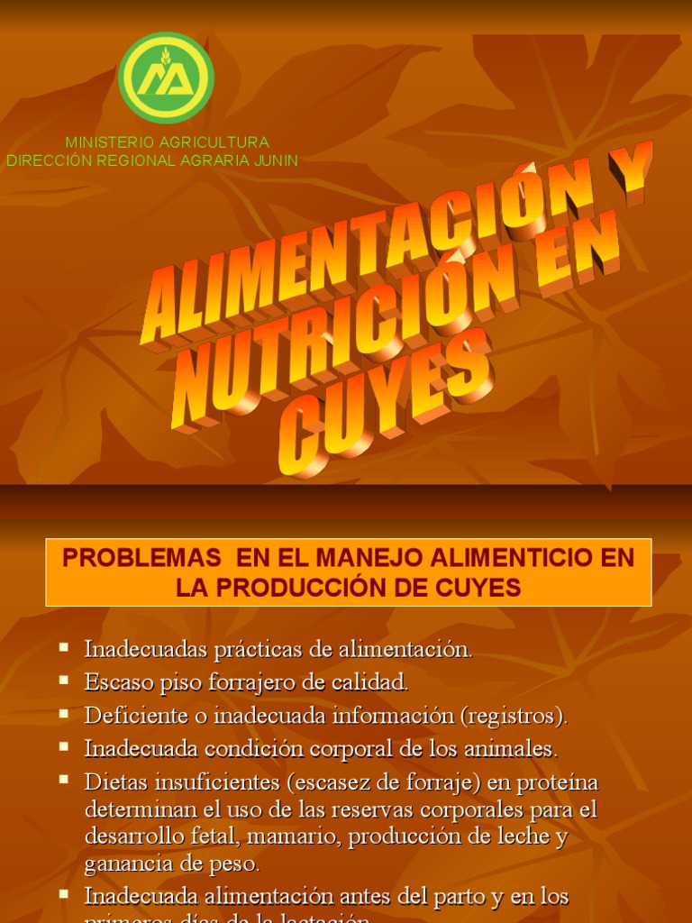 Nutrición y Alimentación de Cuyes | PDF | Digestión | Alimentos