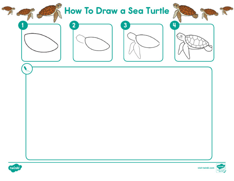 Color How To Draw A Sea Turtle Art Activity | PDF