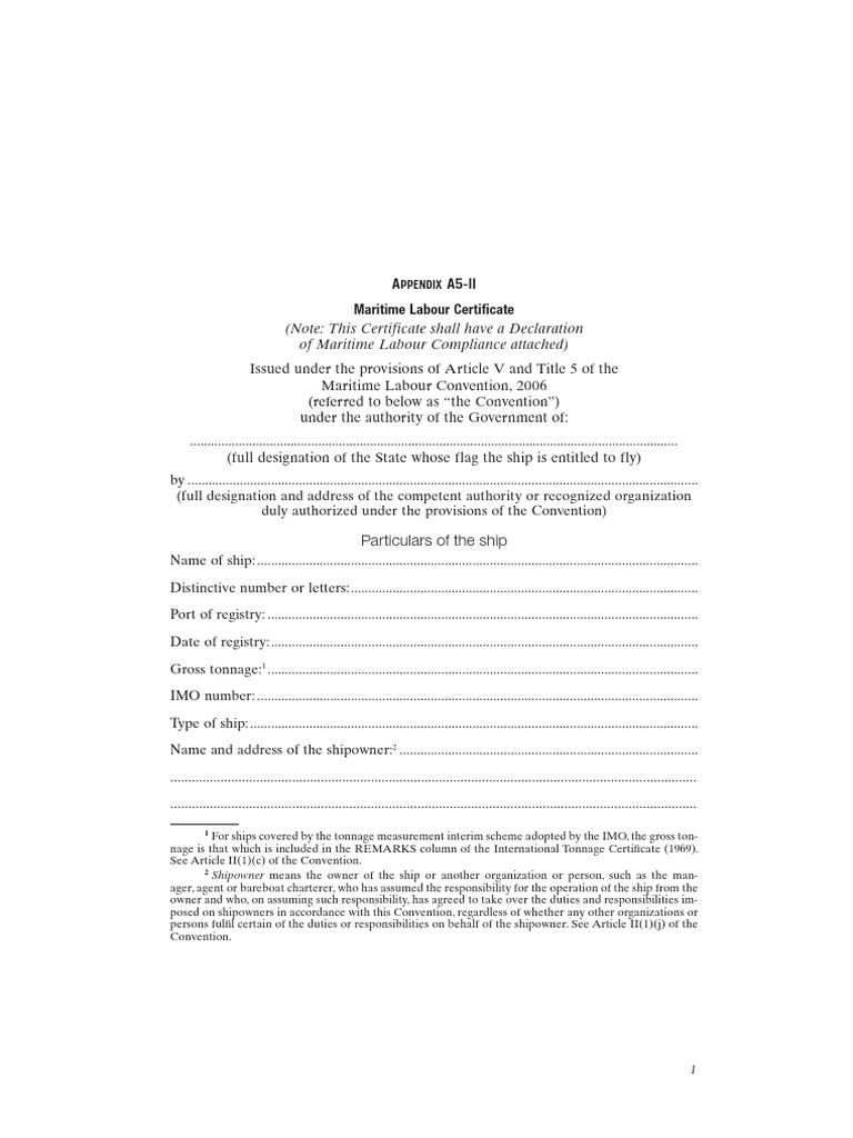 Maritime Labour Certificate - Example | PDF | Tonnage