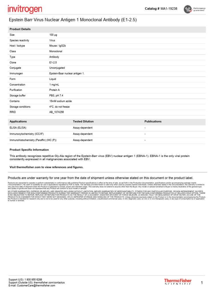 Antibody-Epstein Barr Virus Nuclear Antigen - 79427456 | PDF ...