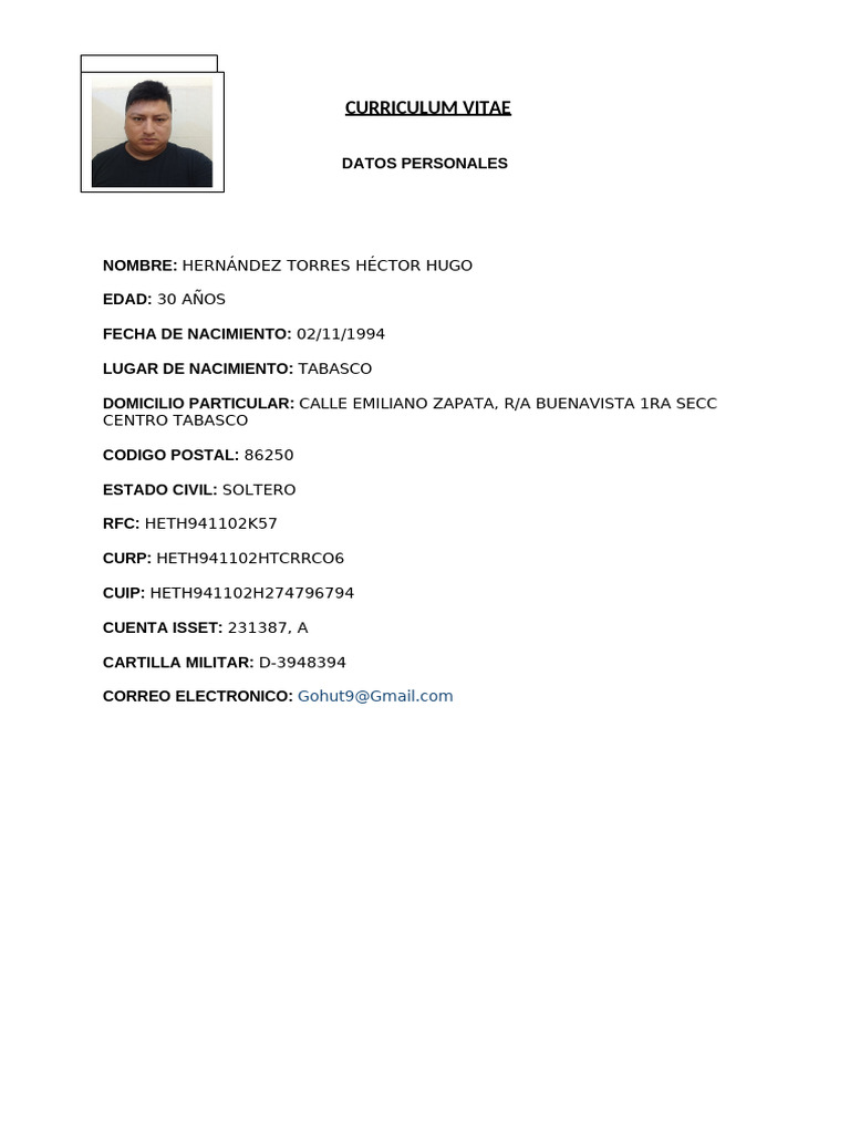 Currículum Vitae de Héctor Hugo Hernández | PDF