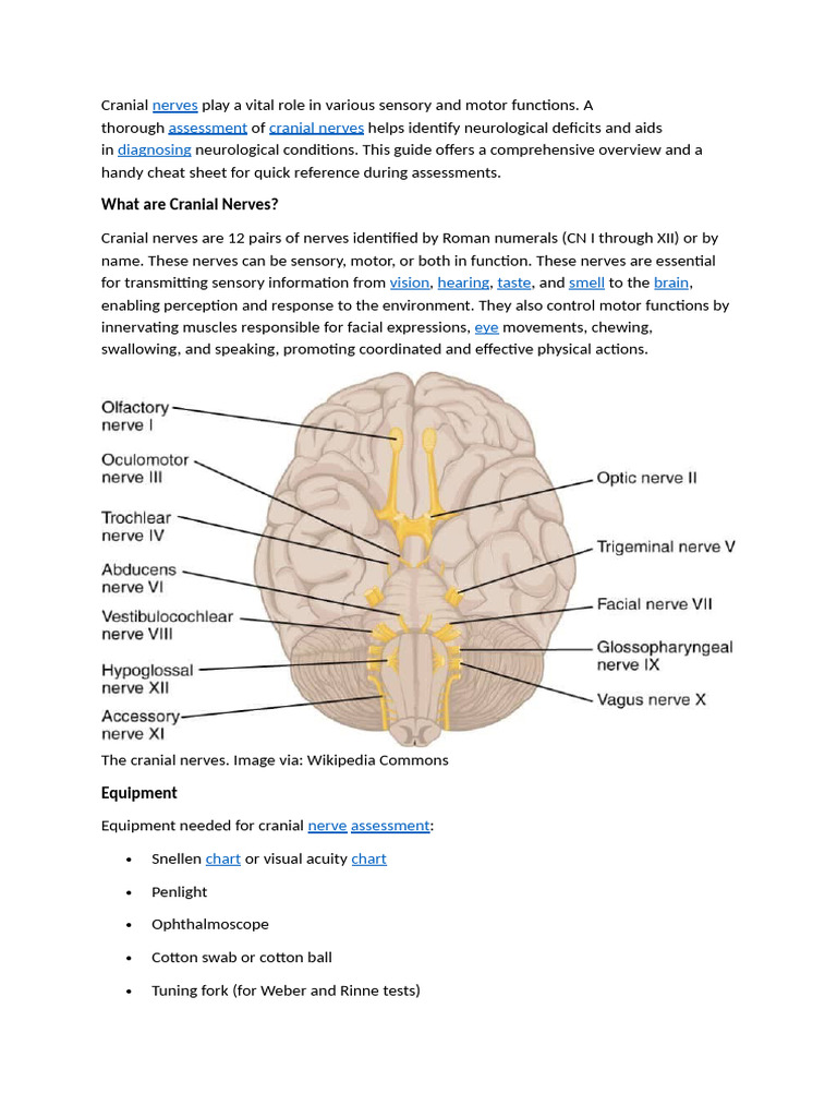 Cranial Nerve Assessment Guide | PDF | Neuroscience | Human Anatomy