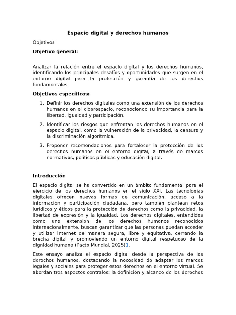 Ensayo - Espacio Digital y Derechos Humanos | PDF | Derechos digitales ...