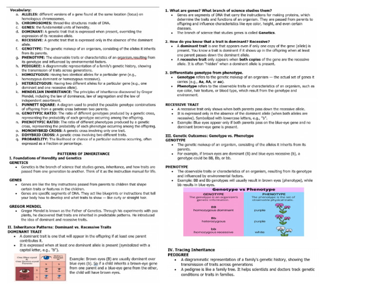 Patterns of Inheritance | PDF