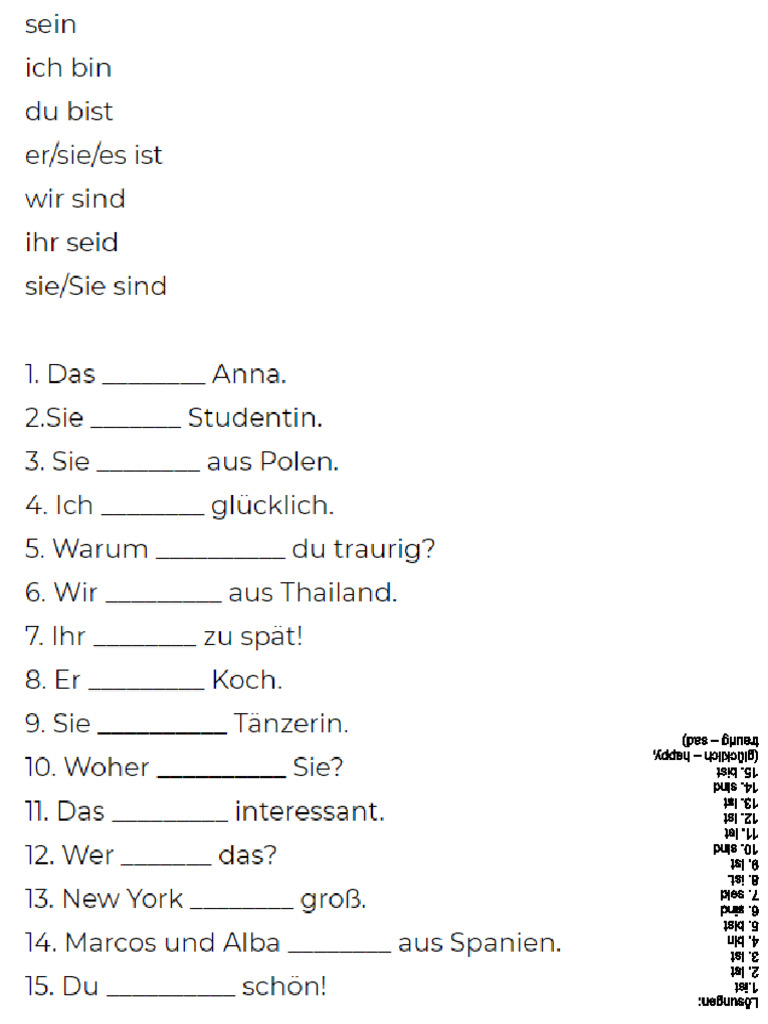Verb Konjugation (Sein) Revision Worksheet | PDF