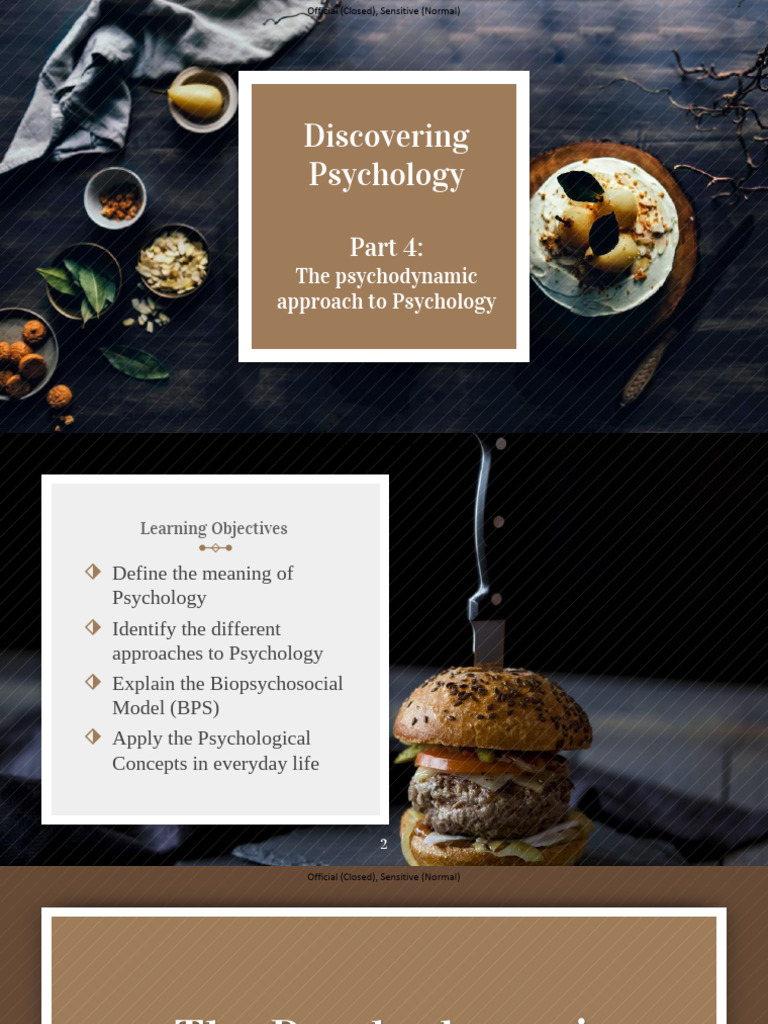 Psychodynamic Approach to Psychology | PDF | Psychology | Psychodynamics