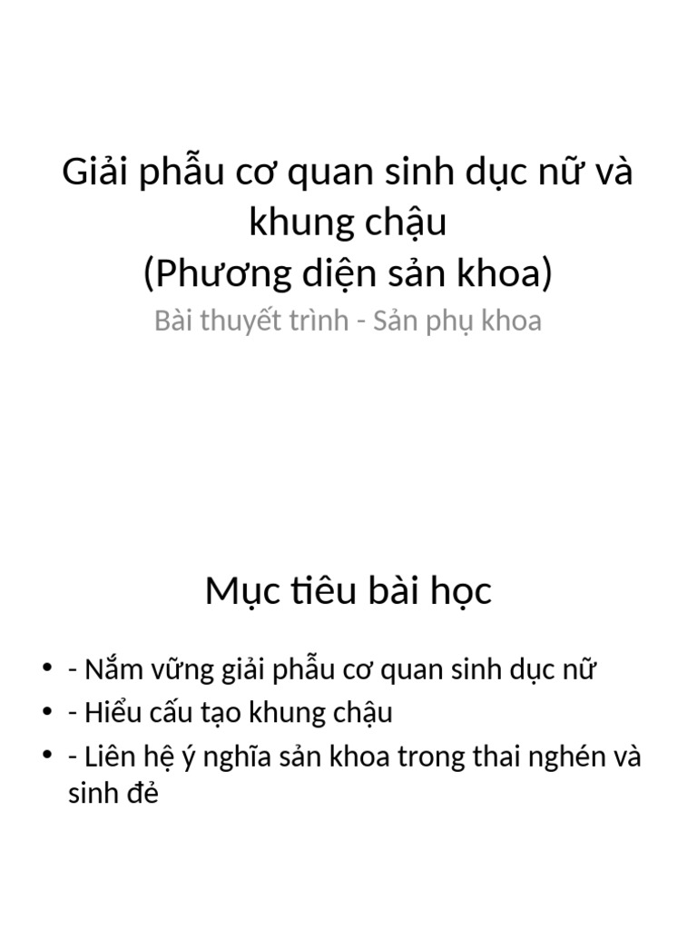 Giai Phau San Khoa | PDF