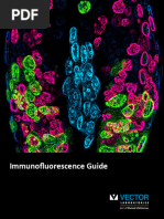 BD FACSDiva™ CS&T IVD Beads | PDF | Flow Cytometry | Computing And ...