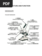 Eye - Piece - Graticule Worksheet | PDF