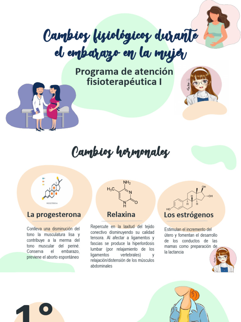 Cambios fisiológicos en el embarazo | PDF | El embarazo | Abdomen