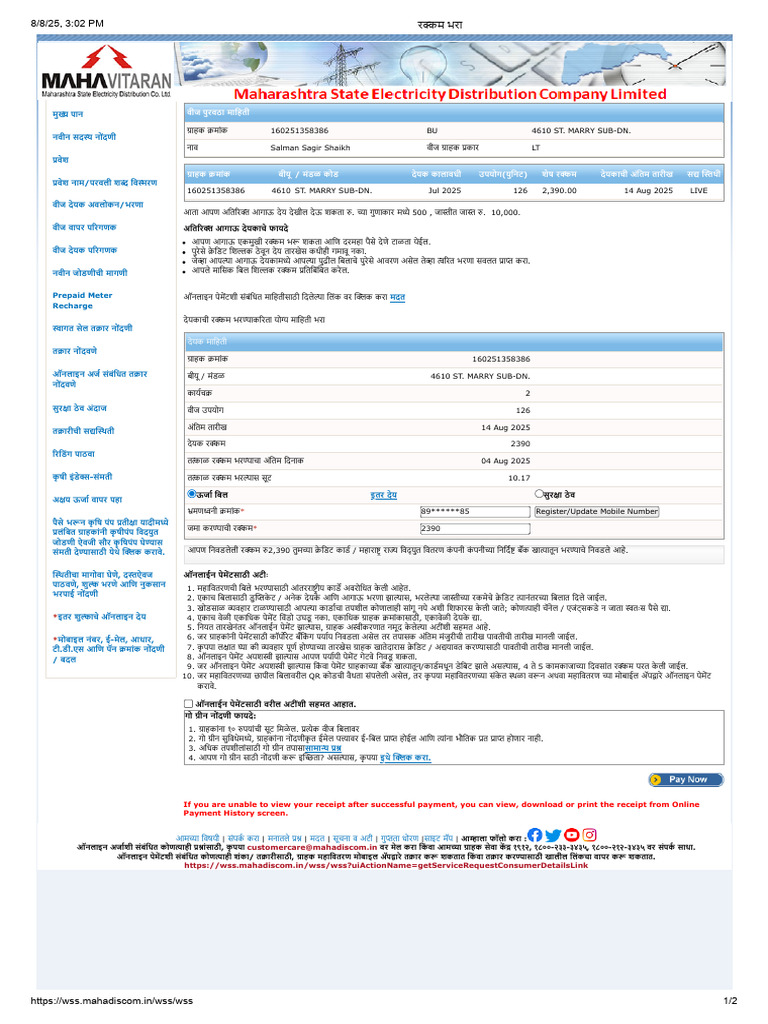 Salman Light Bill | PDF
