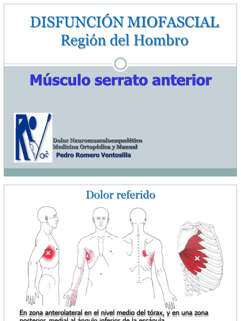 SMF Serrato Anterior PRV | PDF | Hombro | Anatomía humana