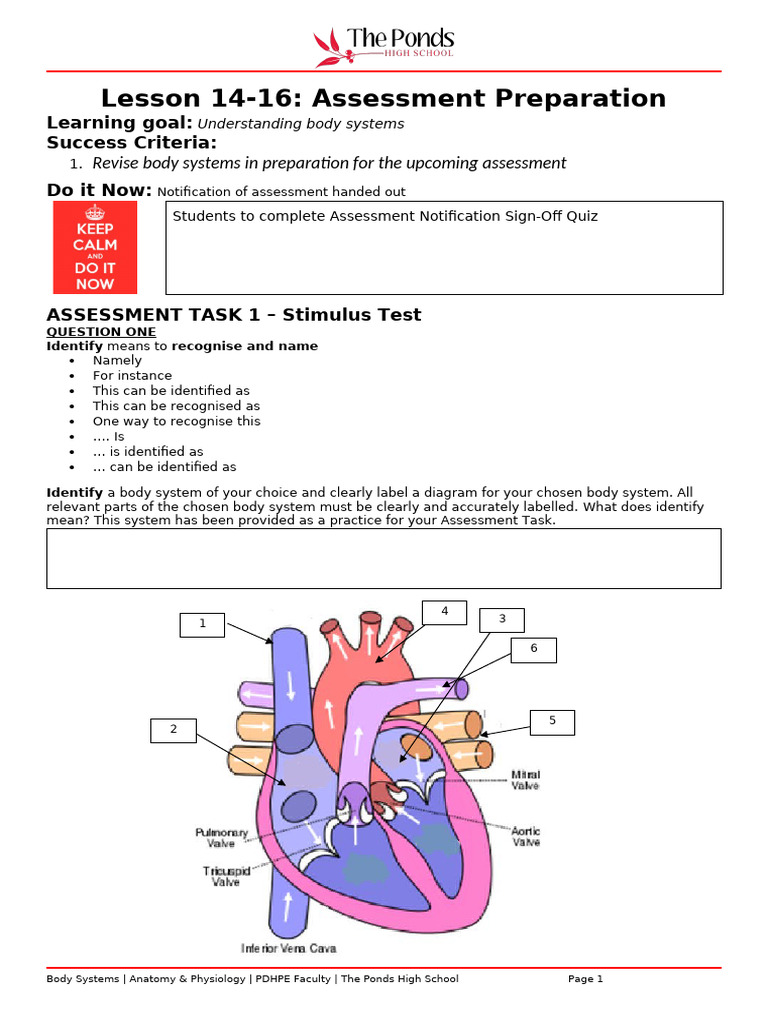 Body Systems Lesson 14-16-2 | PDF | Anatomy | Cognition