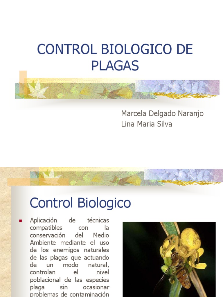 Control Biologico | PDF | Insectos beneficiosos | Plaga (organismo)
