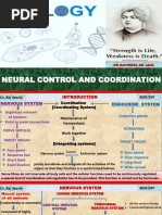 HBS 213 NeuronFormsComparisonChart | PDF