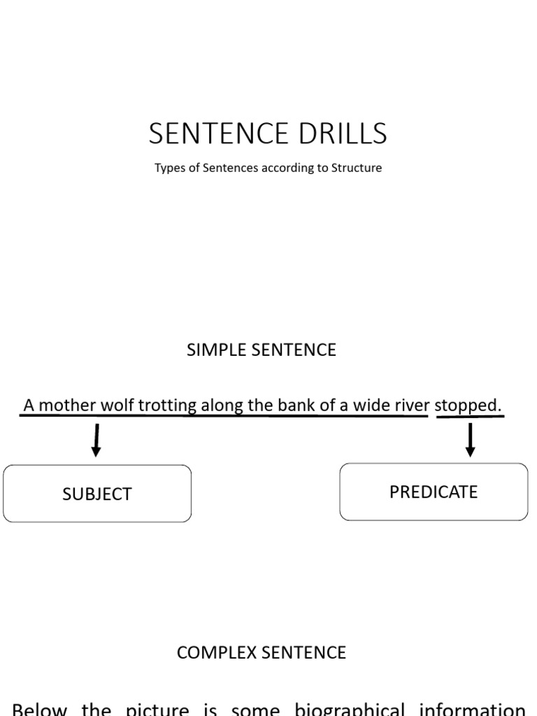 Sentence Drills (Structure) | PDF
