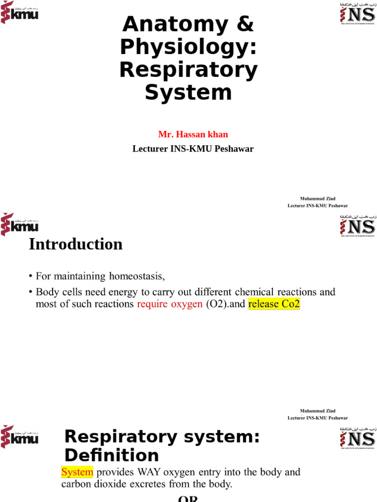 UNIT 1 Respiratory System | PDF | Lung | Respiratory Tract