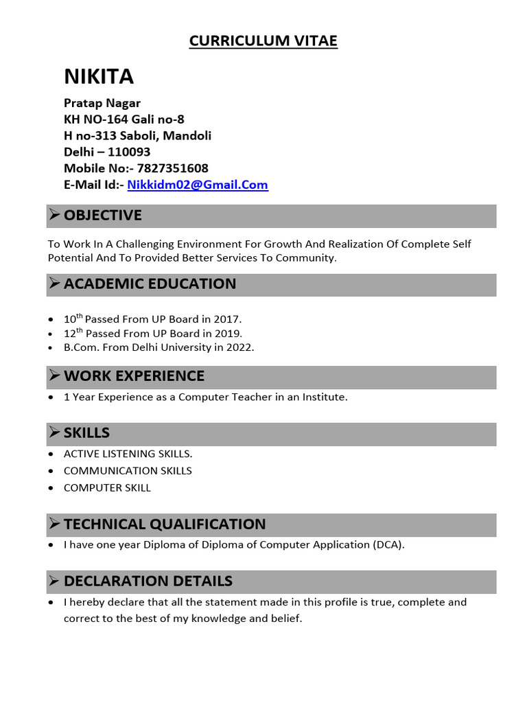 Curriculum Vitae Nikita | PDF