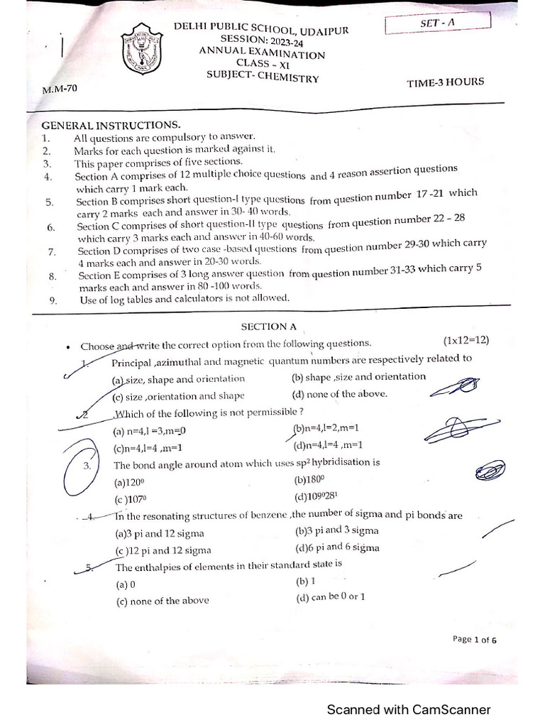 DPS Annual Exam 2023-24 | PDF