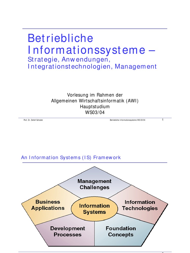 Betriebliche Informationssysteme –: Strategie, Anwendungen ...