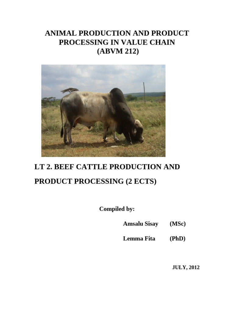 LT 2. Beef Cattle Production | PDF | Beef | Cattle