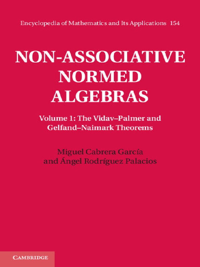 Non-Associative Normed Algebras I | PDF | Banach Space | Mathematics