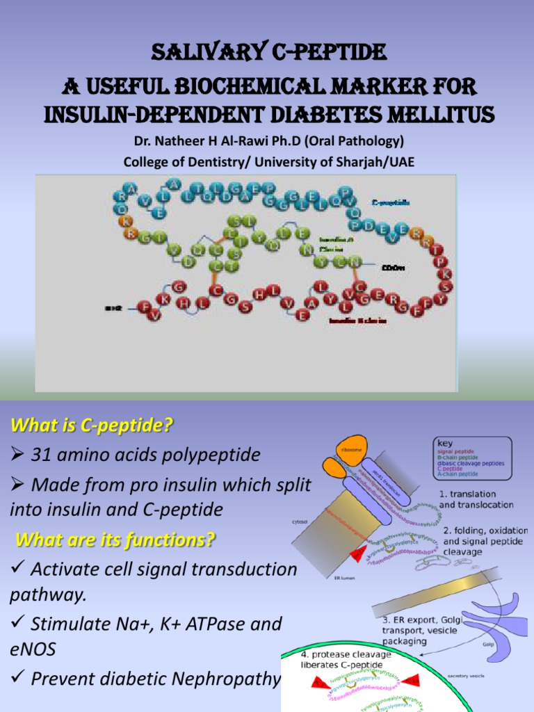 C Peptide Aeedec Pdf Insulin Diabetes Mellitus Type 1