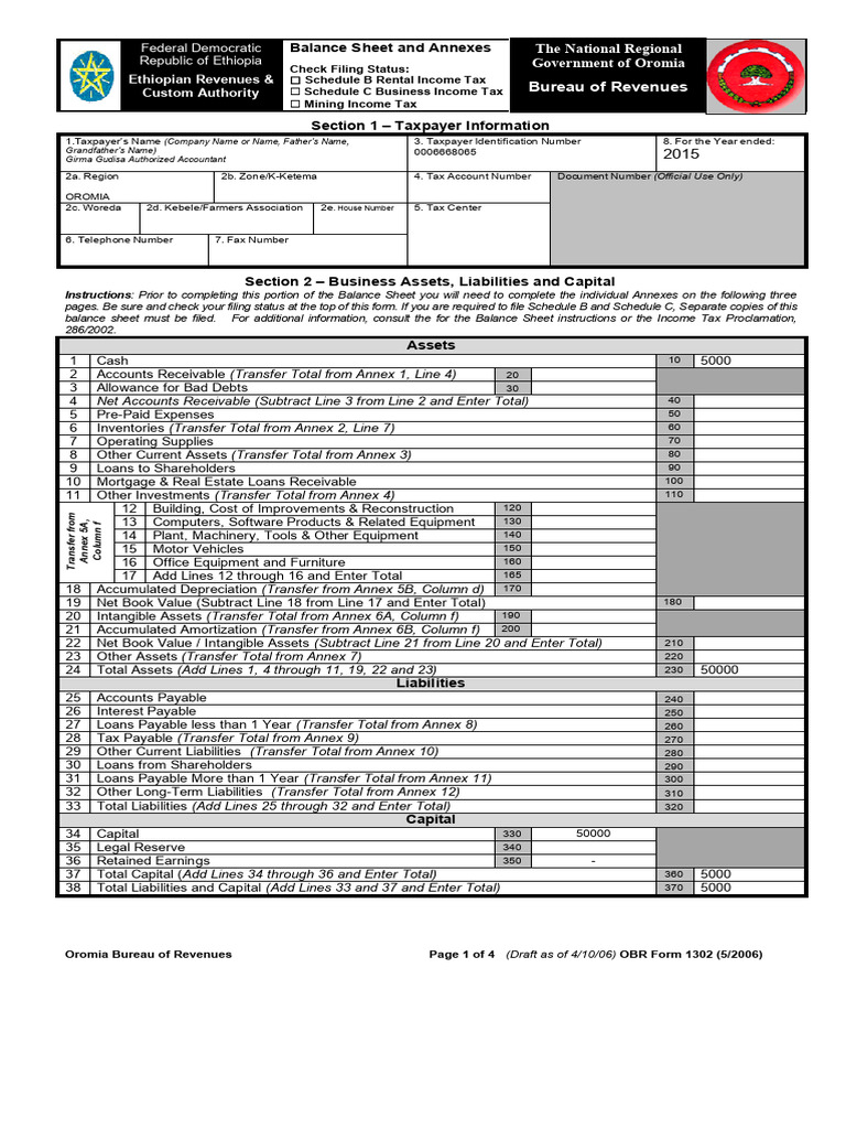 Balance Sheet Form With Annex | PDF | Book Value | Balance Sheet