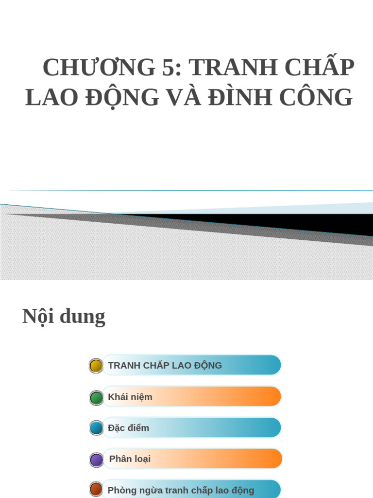 Bai 5&6 Tranh Chap Lao Dong Va Dinh Cong | PDF