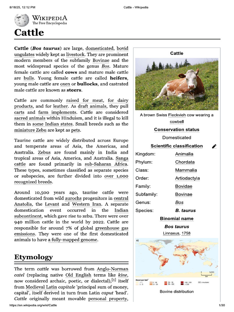 Cattle - Wikipedia | PDF