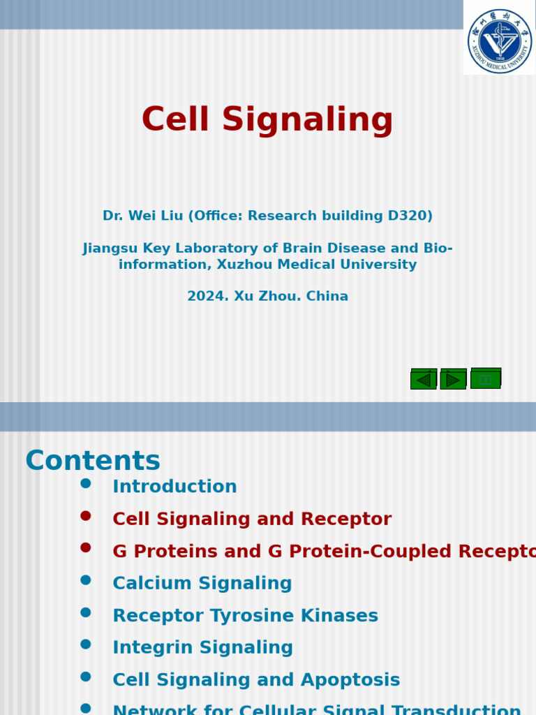 Cell Signaling Pathways Overview | PDF | Cell Signaling | Receptor ...