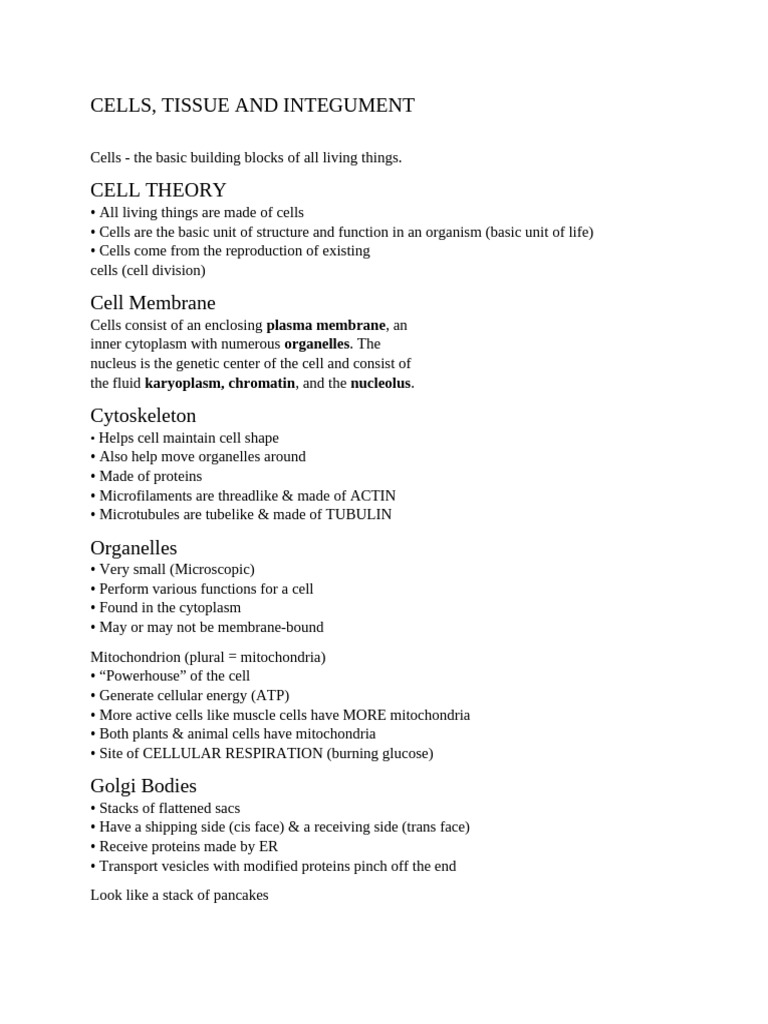 Anatomy Cell Tissues and Integumentary System | PDF | Epithelium ...